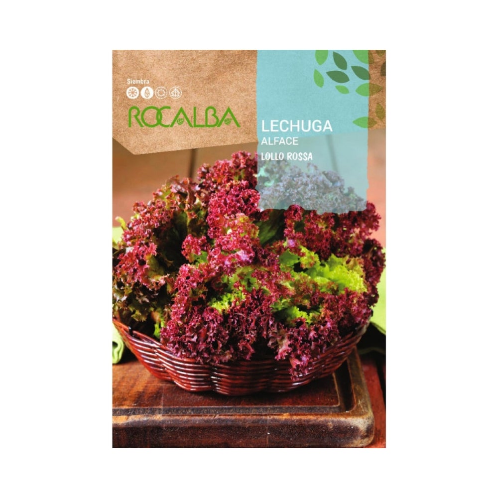 ROCALBA LECHUGA LOLLO ROSSA 6g, Pack 5 sobres | Leroy Merlin