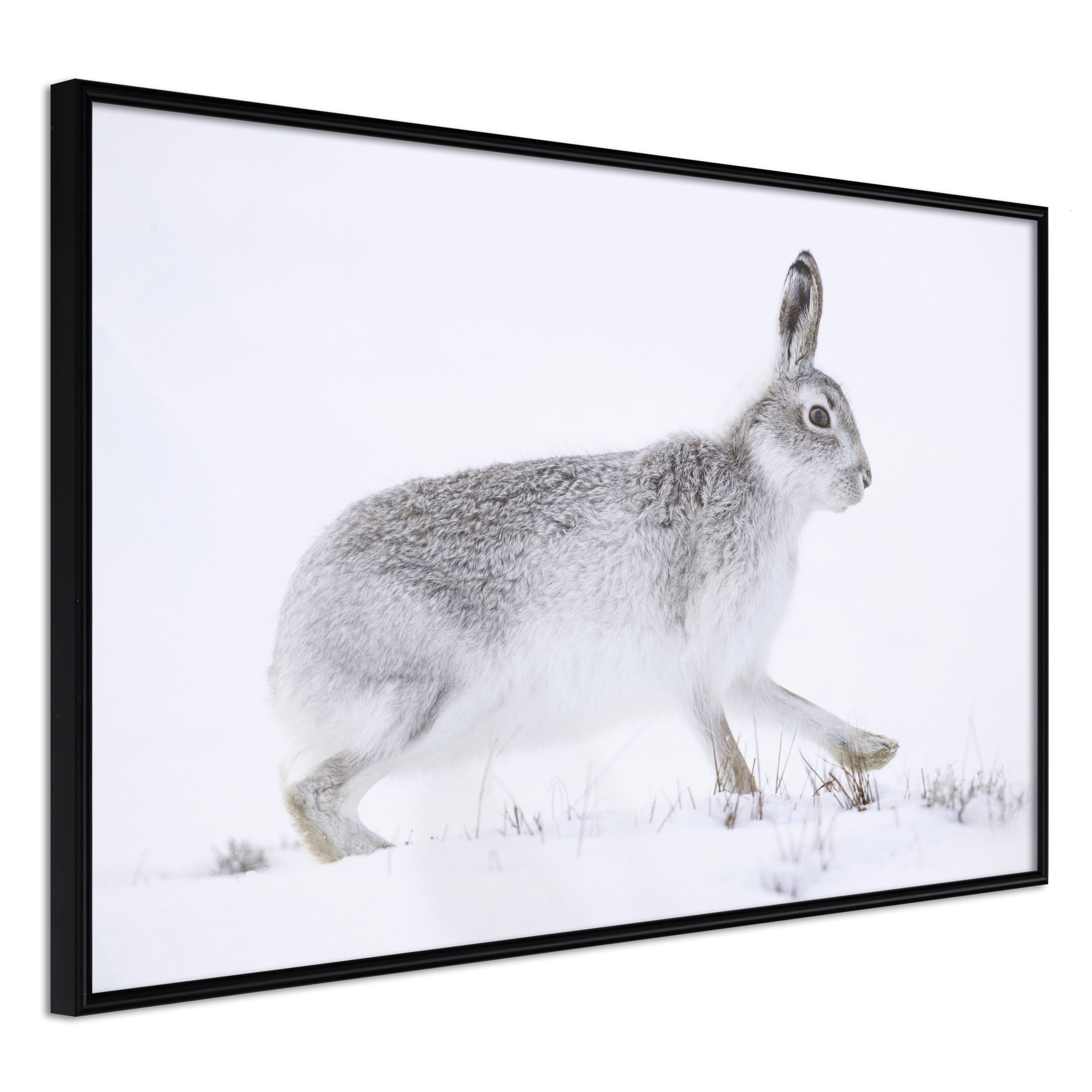 Poster et affiche - Escape in the Snow 90x60 cm | Leroy Merlin