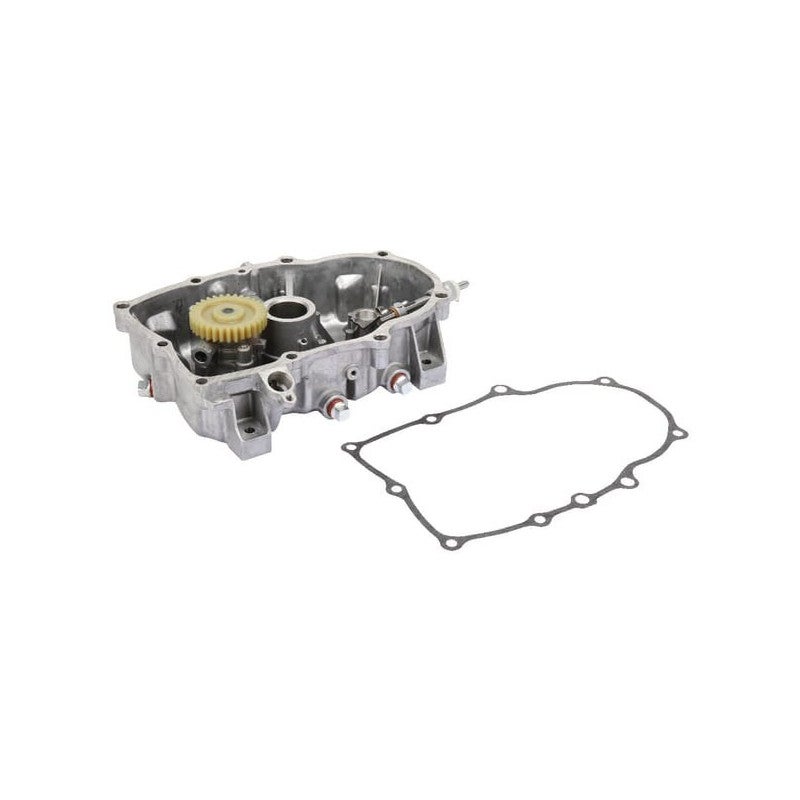 Carter de protection Briggs et Stratton - 843954 | Leroy Merlin