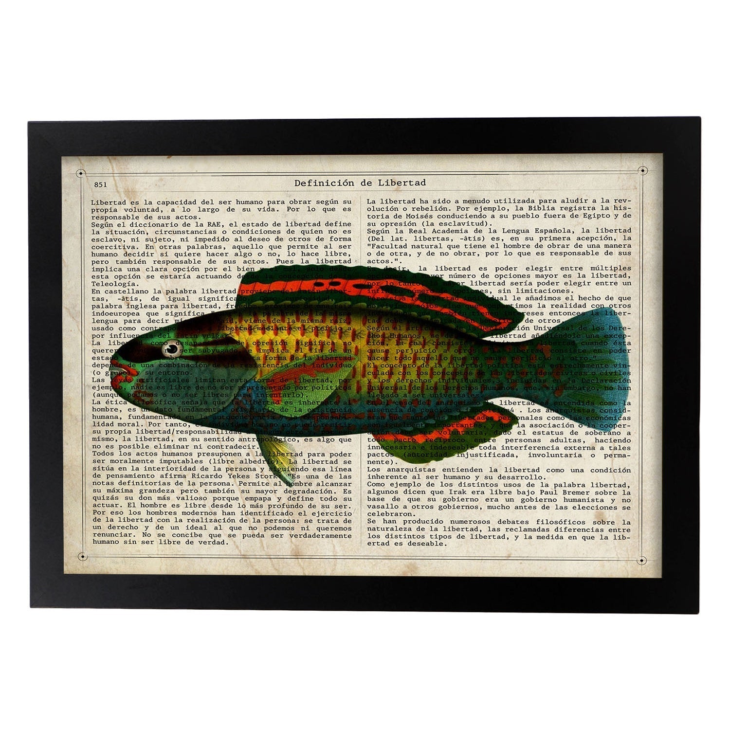 Poster De Peces Marinos. Lamina De Pez Loro Con Definicion. Diseño De ...