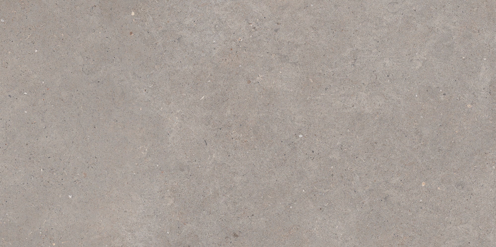 Grès cérame - FLOW - STONE ASH - 30x60 | Leroy Merlin