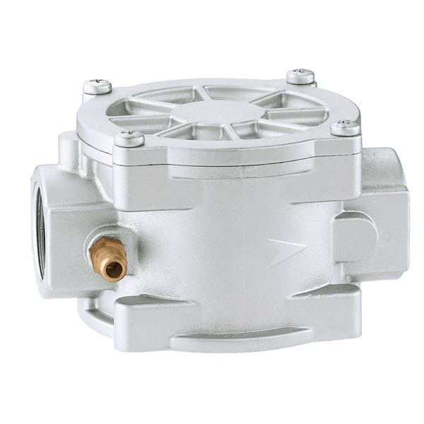 Filtre à gaz avec raccords filetés et pression maximale de 2 bar ...