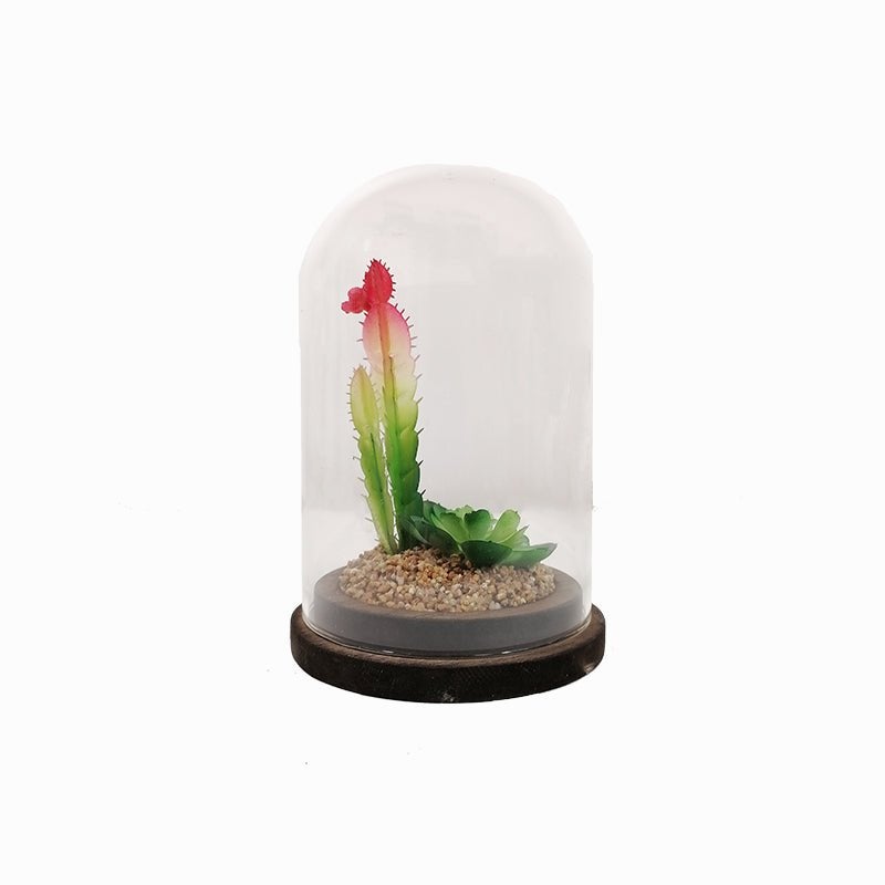 Plante artificielle sous cloche en verre 13x19cm - Motif 2 - SILUMEN ...