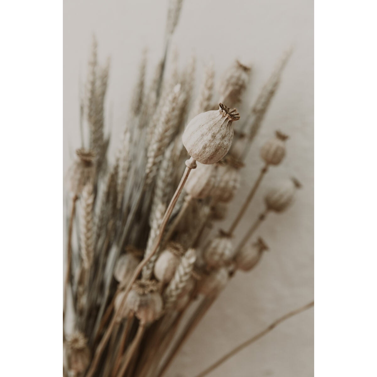 Tableau sur verre bouquet de fleurs séchées 30x45 cm | Leroy Merlin