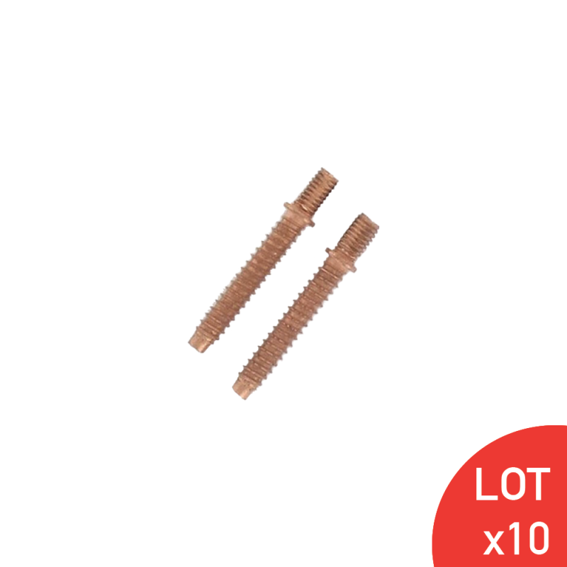 Vis longues de fiche à lacet de 6x37 mm | Leroy Merlin