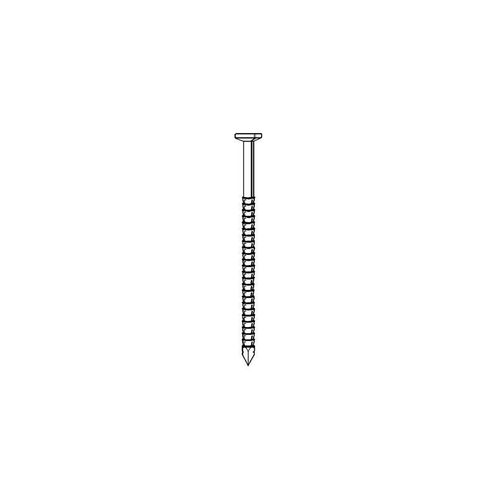 Pointe annelee INOX A4 en vrac tete plate (TP) 28/31 x 30 mm 1 kg ...