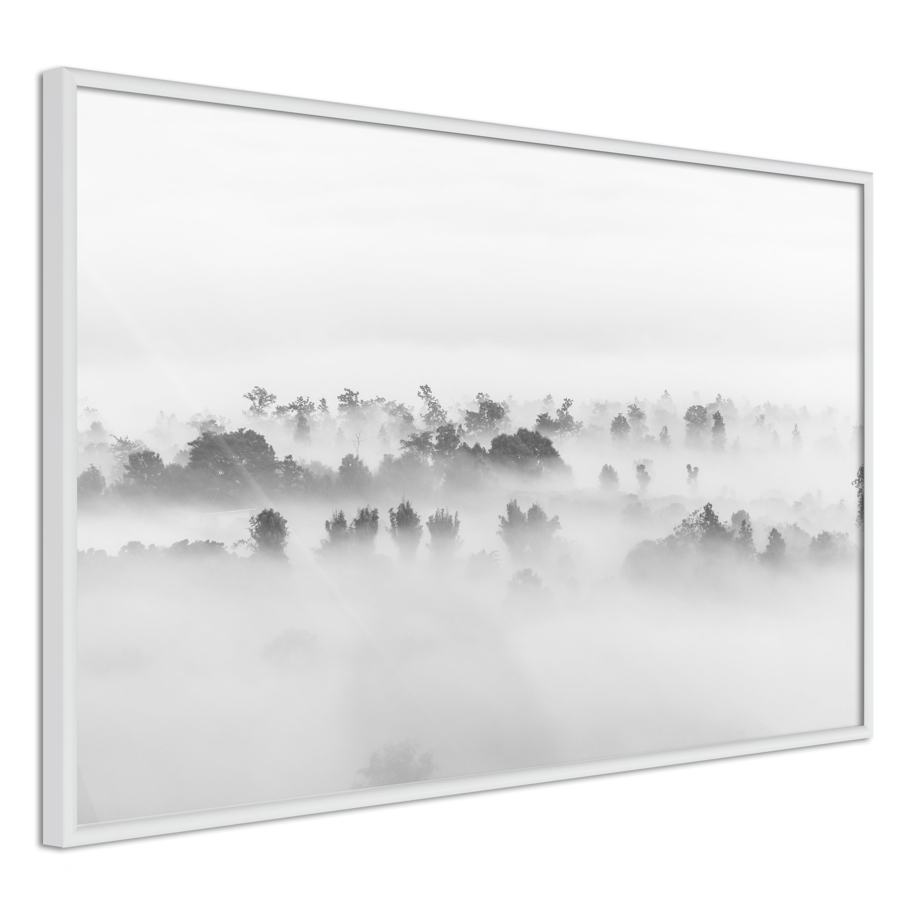 Poster et affiche - Fog Over the Forest - 90x60 | Leroy Merlin