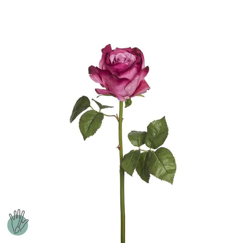 Rose SARAH | Leroy Merlin