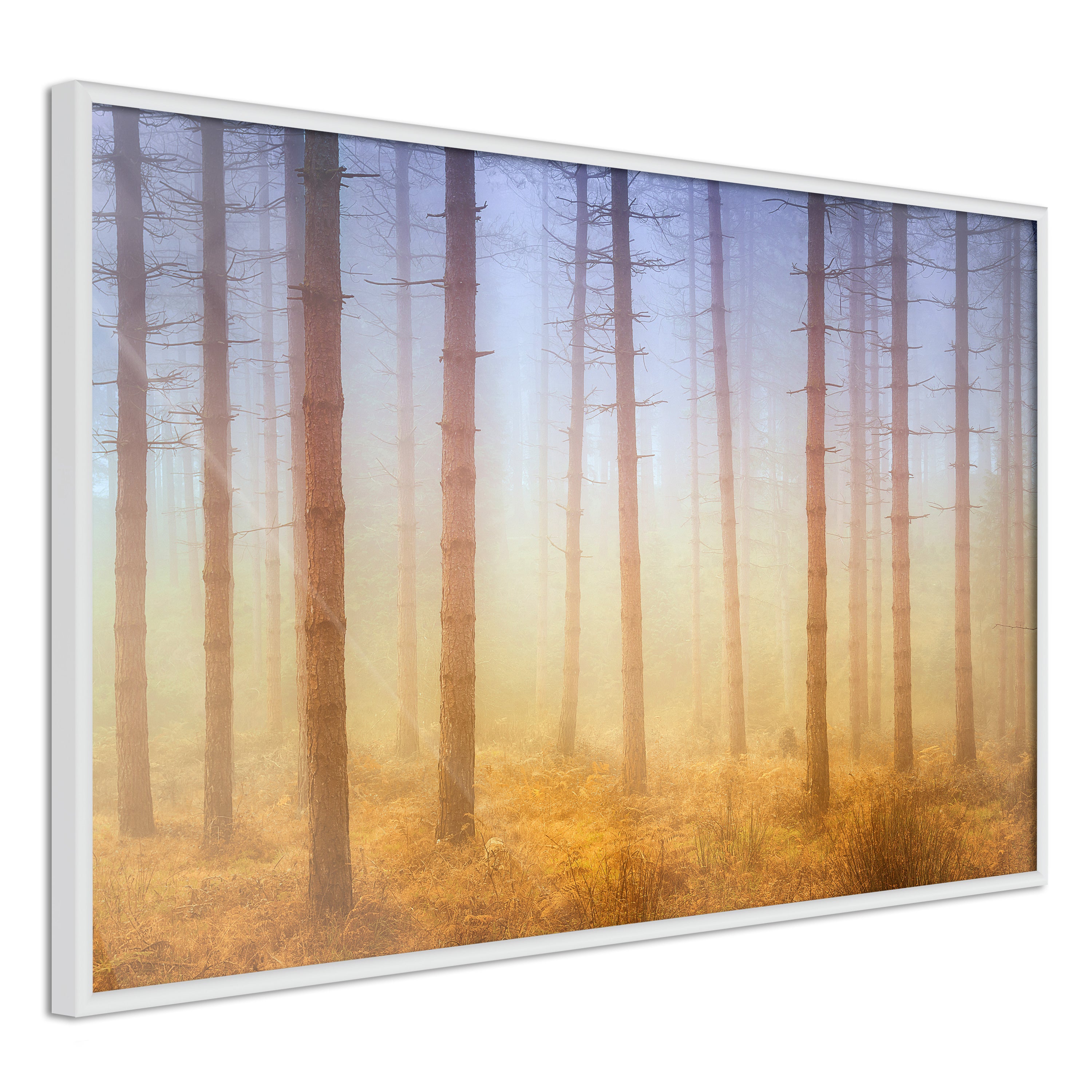Poster et affiche - Fog or Smoke? - 30x20 | Leroy Merlin
