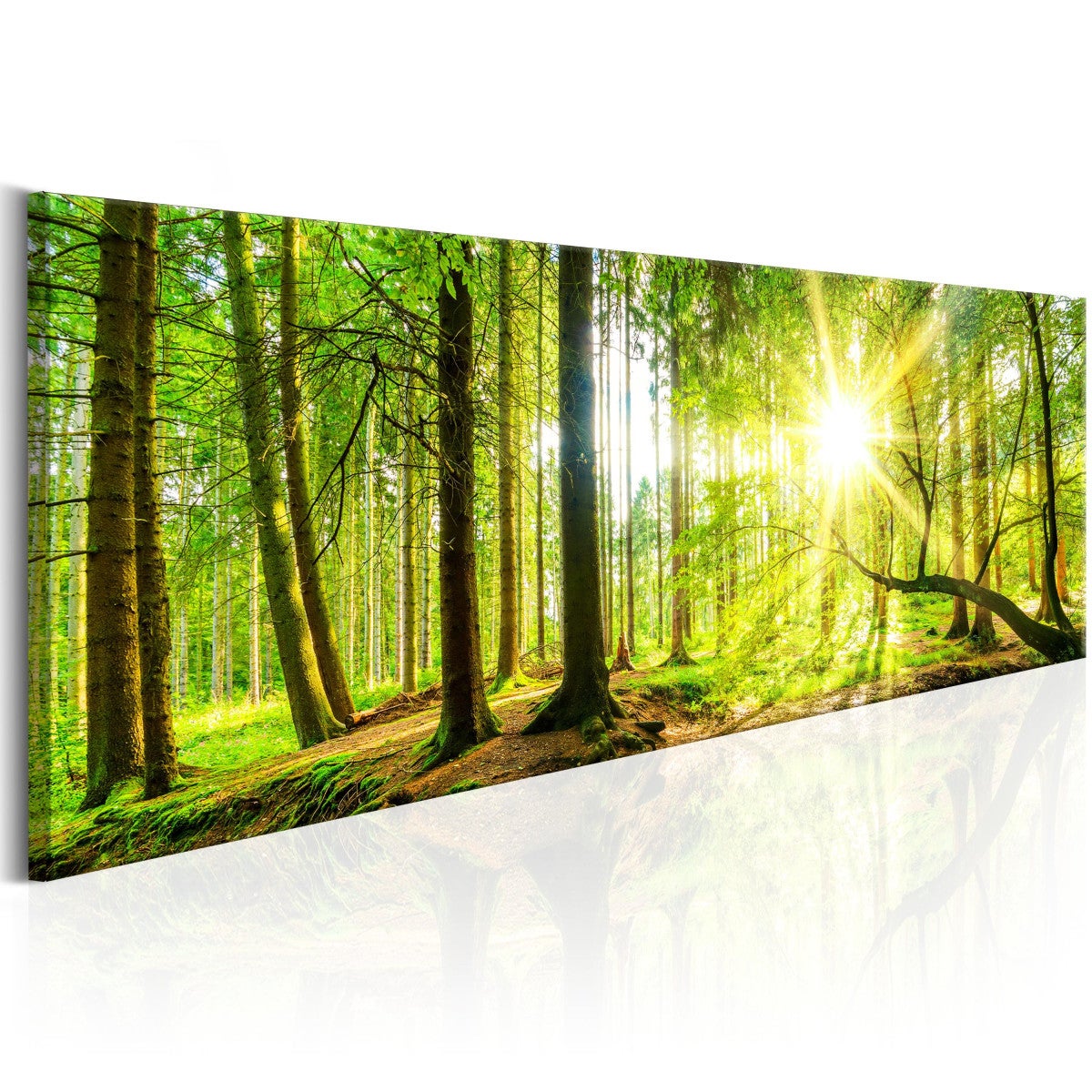Tableau Imprimé "Majestic Trees" 50 x 150 cm | Leroy Merlin