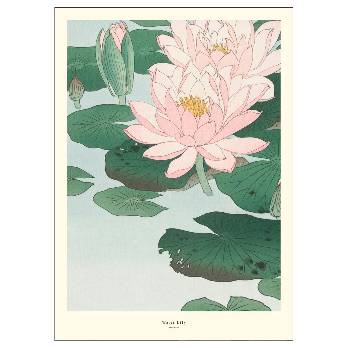 Poster -A.P. Atelier - Water Lily | Leroy Merlin
