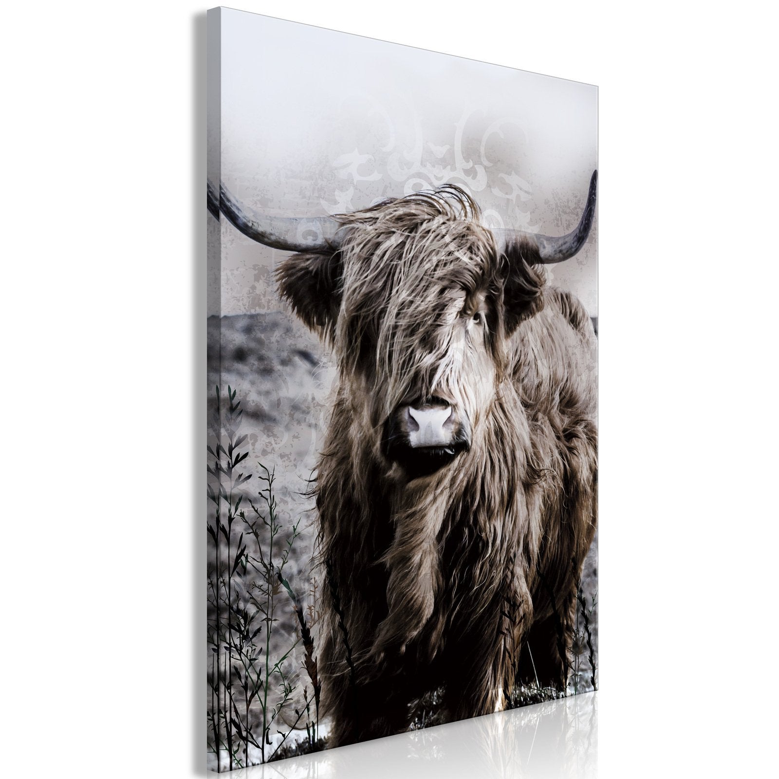Tableau Vache Highland en Sépia - 80 x 120 cm | Leroy Merlin