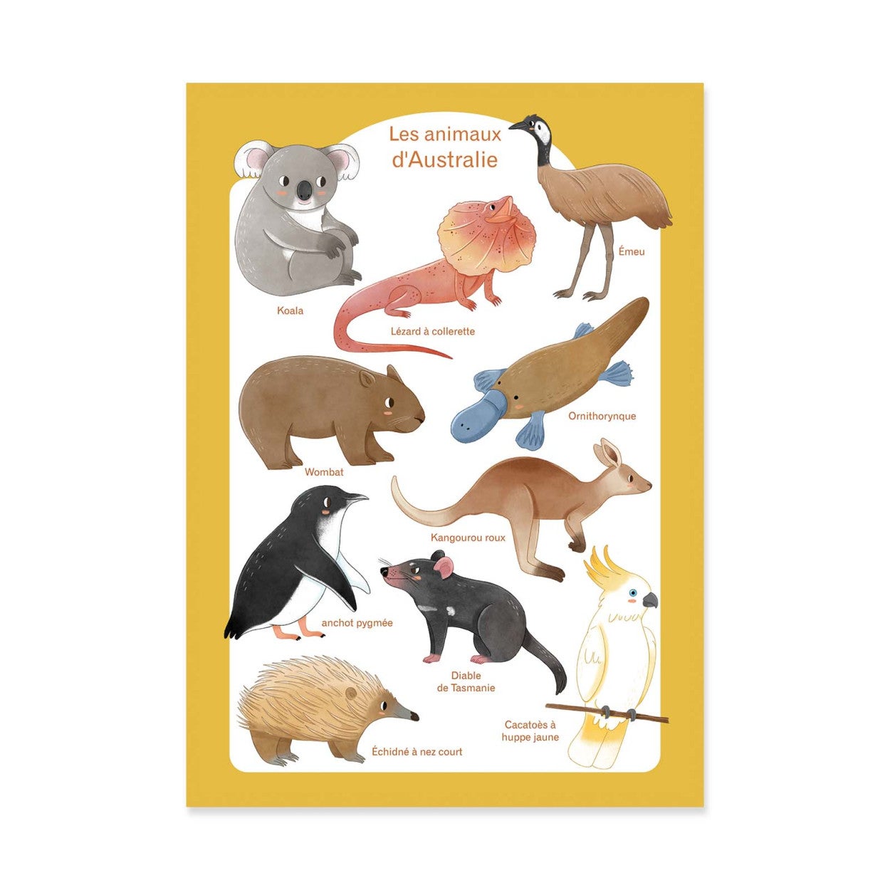 Art-Poster - Les animaux d'Australie - Judith Loske - 50 x 70 cm ...