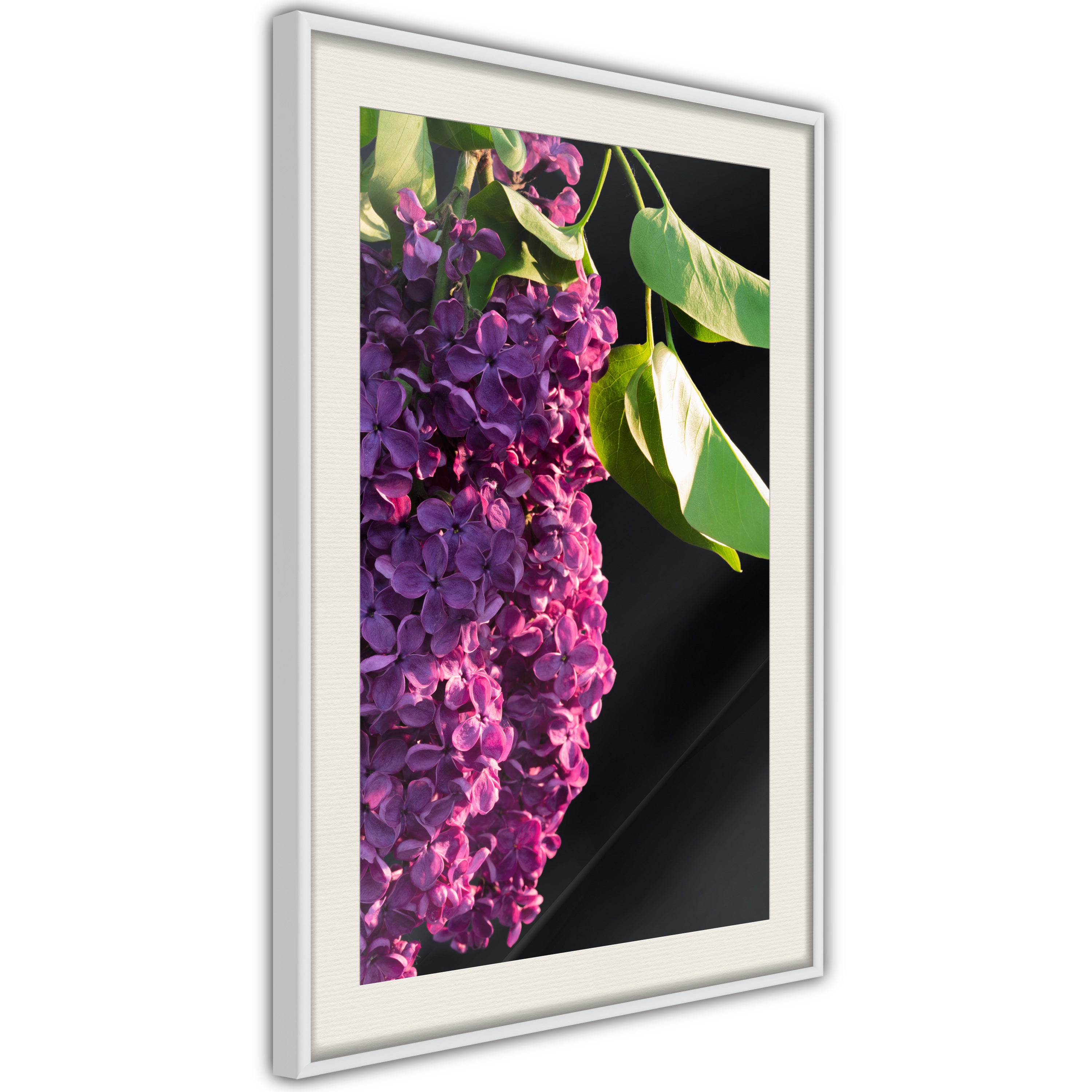 Poster et affiche - Violet May 20x30 cm | Leroy Merlin