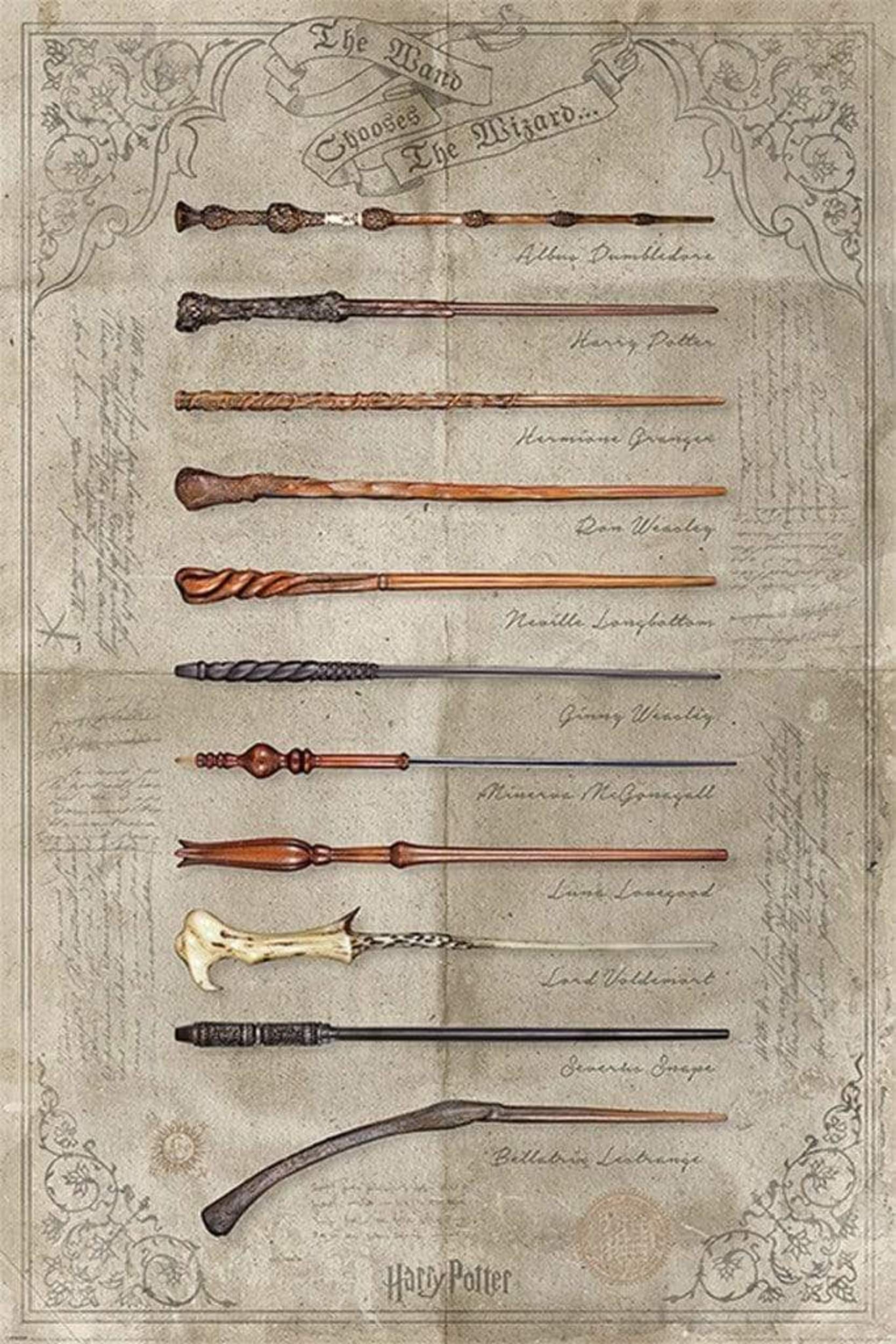 Poster Harry Potter - The Wand Chooses the Wizard 61x91.5cm | Leroy Merlin