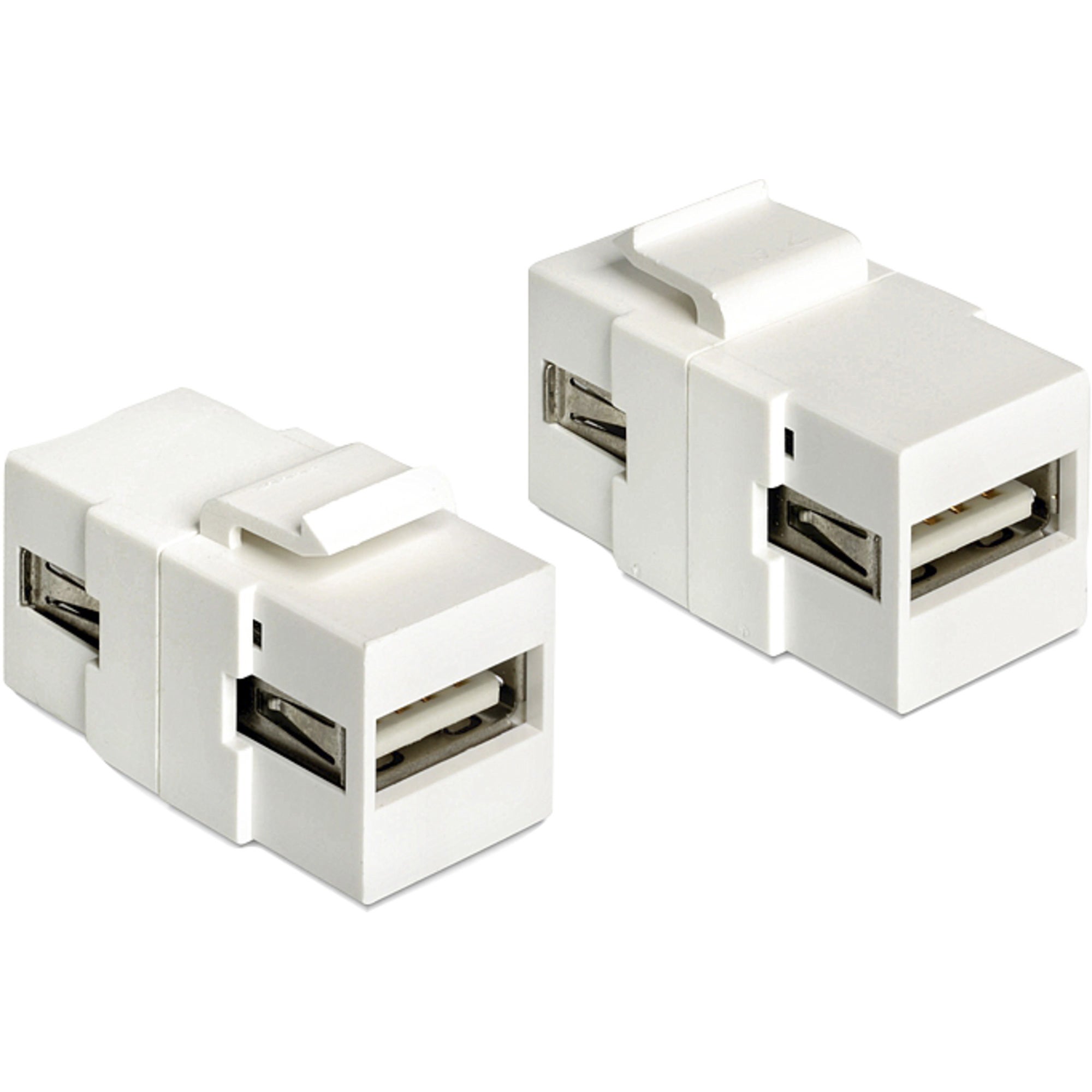 DeLOCK Module Keystone USB 2.0 A - Module Keystone USB 2.0 A | Leroy Merlin