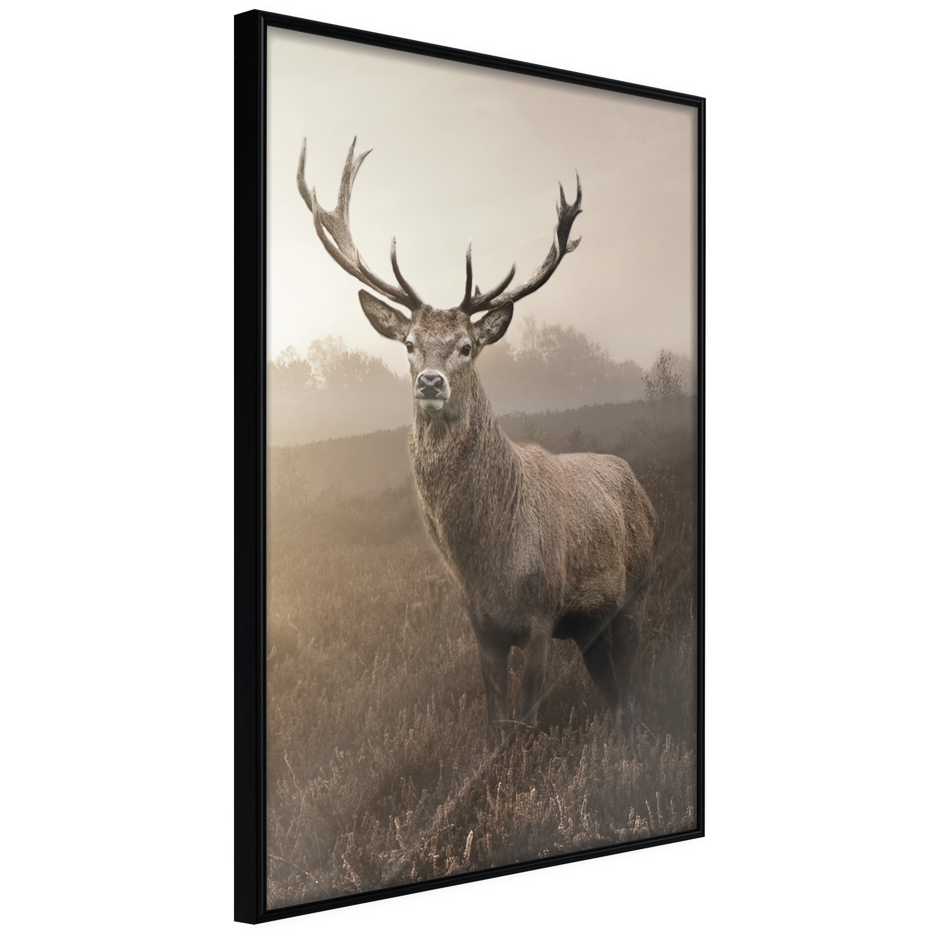 Poster et affiche - Representation of Dignity - 40x60 | Leroy Merlin