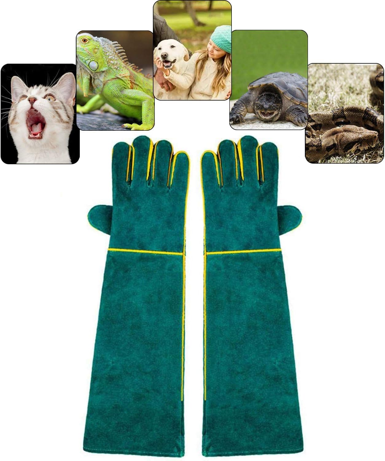 Gants de jardinage résistants aux morsures et à la manipulation d ...