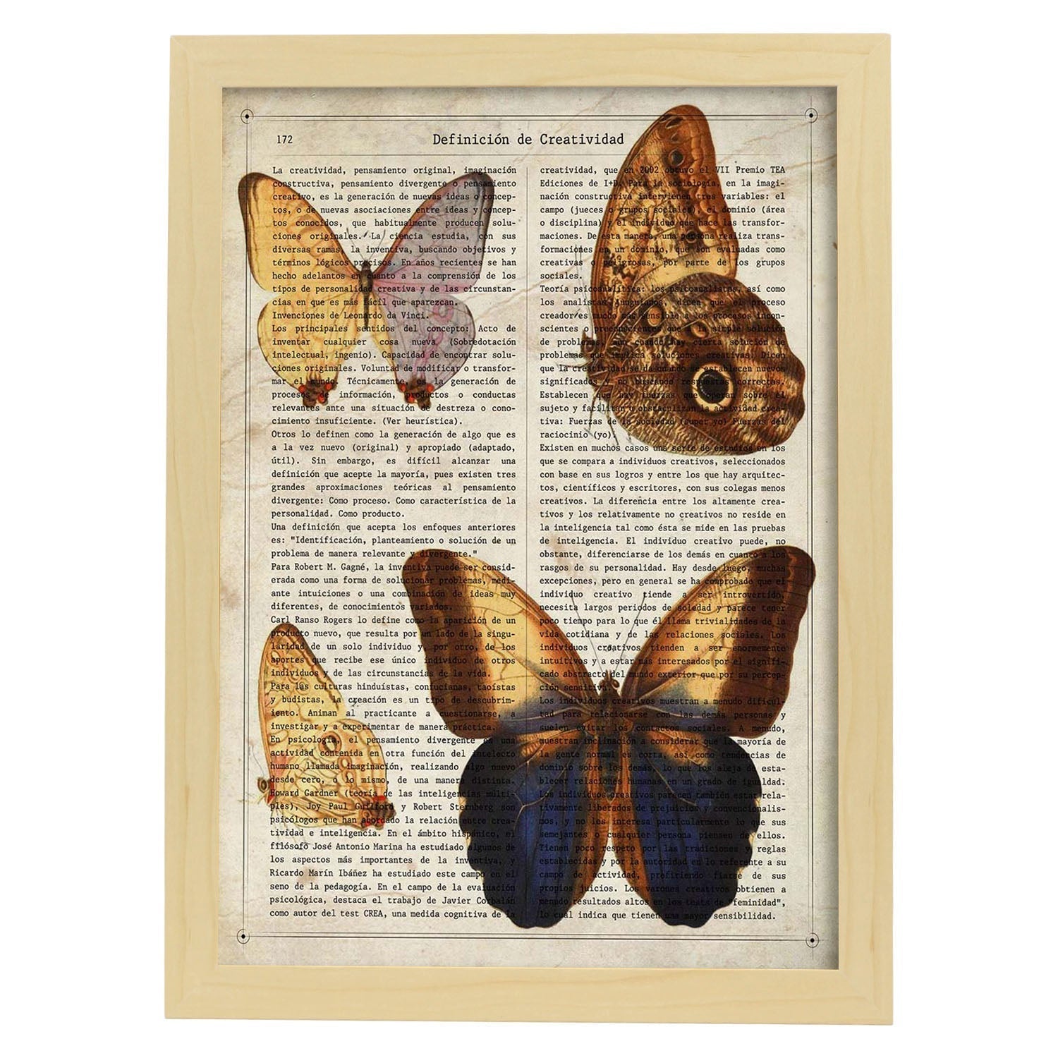 Poster De Mariposas Wood-nymph. Láminas De Mariposas. Decoracion De ...