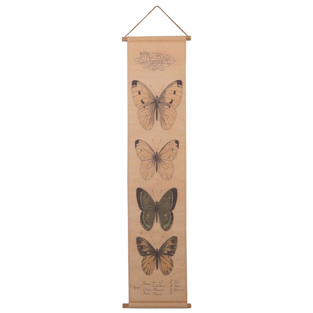 Lienzo pergamino de lino impreso 38x157x2,5 | Leroy Merlin