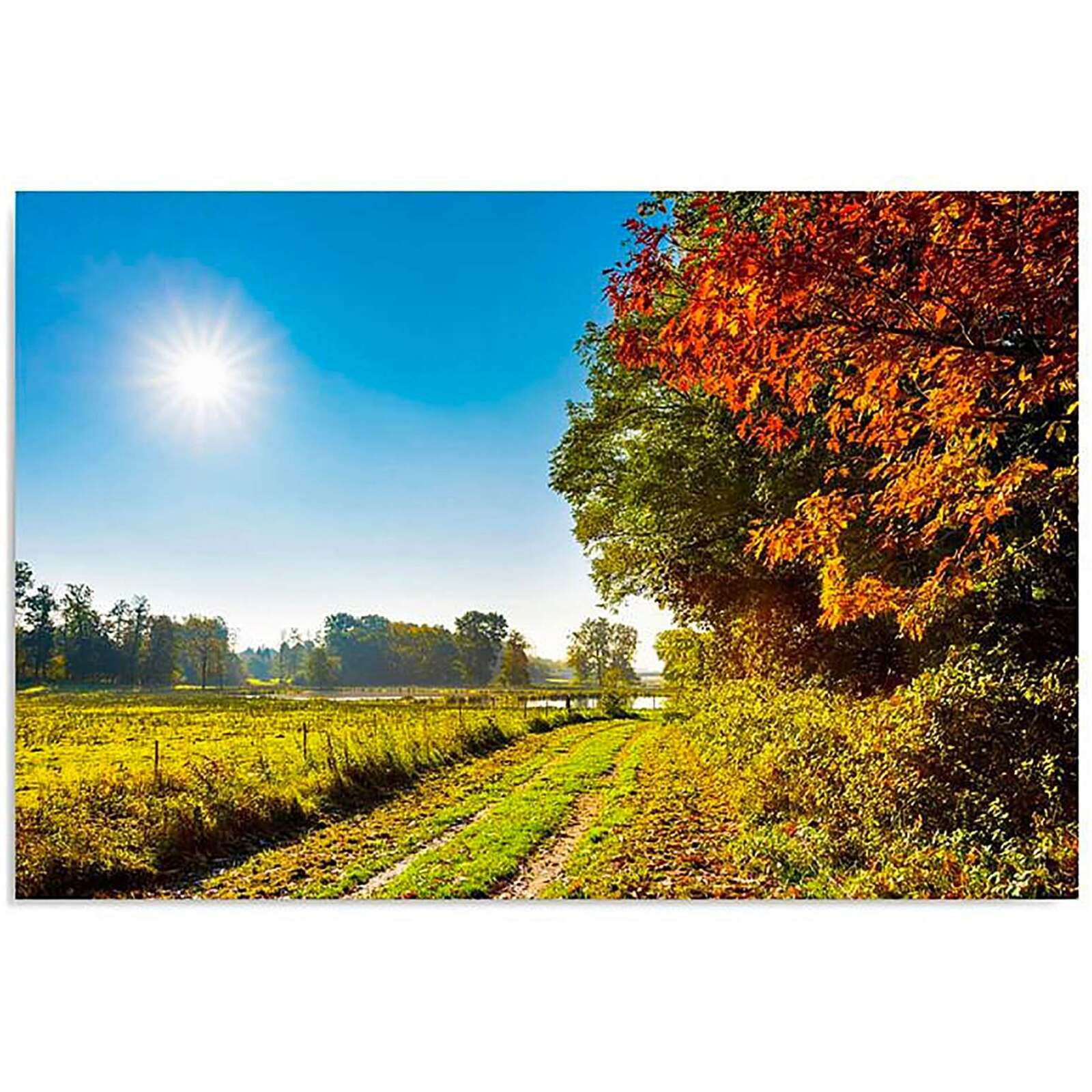 Tableau achèvement - 120 x 80 cm | Leroy Merlin