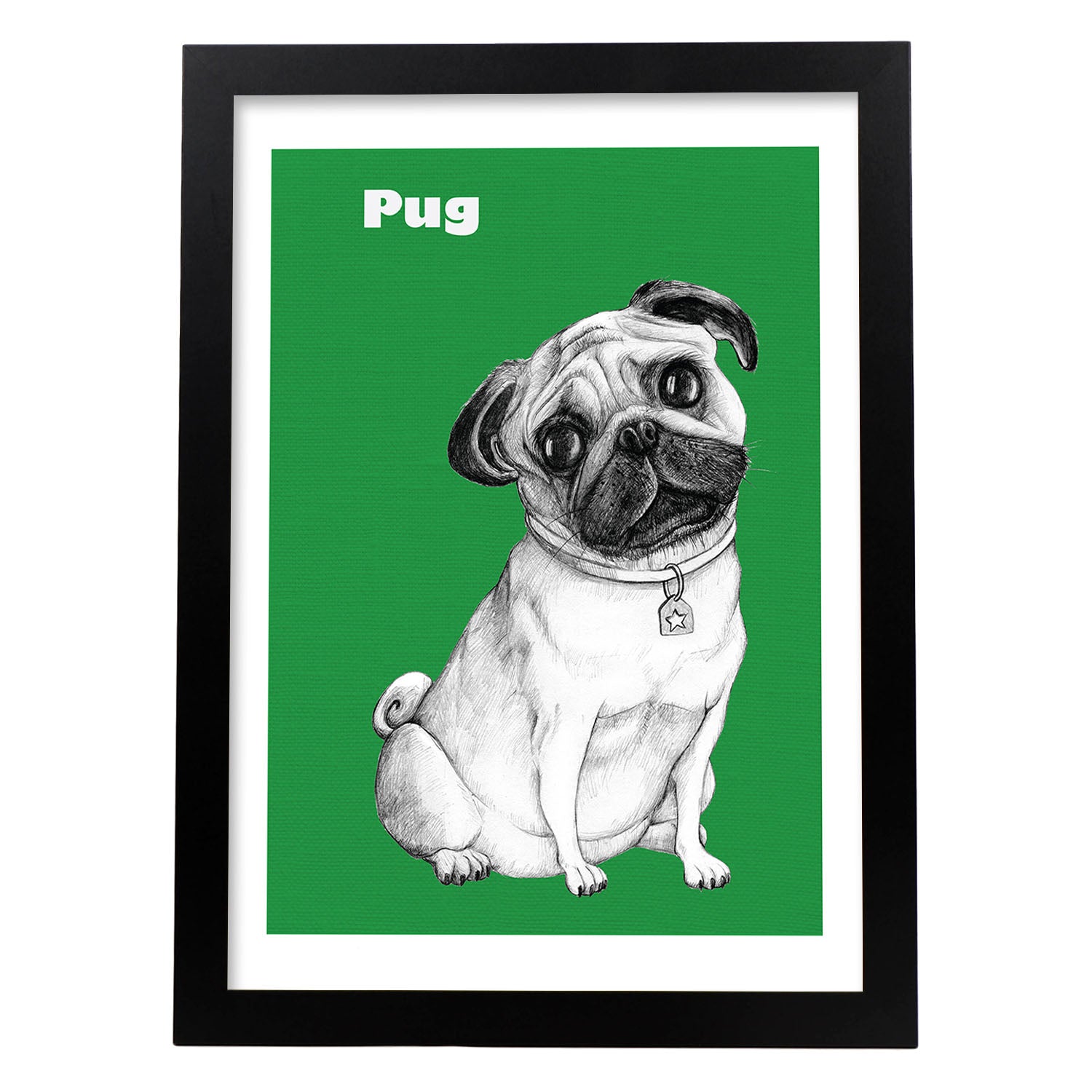 Affiche De Carlin Vert. Lame De Chien Décorative. Sans Cadre A3 | Leroy ...