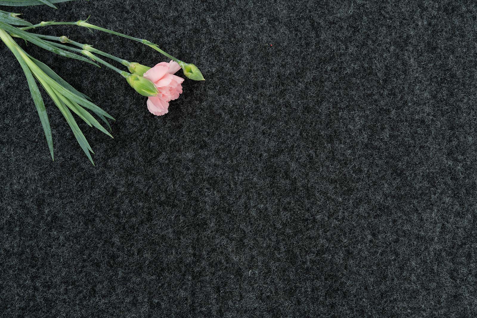 Dalle moquette autocollante anthracite dalle de moquette adhésive 40 x ...