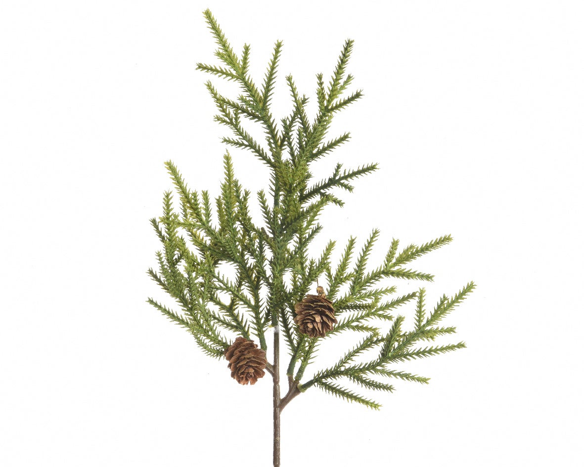 Branche de pin vert avec des pommes de pin 5x22x38 | Leroy Merlin