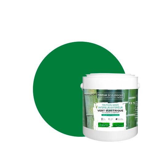 Vert Electrique Vert Electrique-Peinture interieur exterieur aspect mat ...