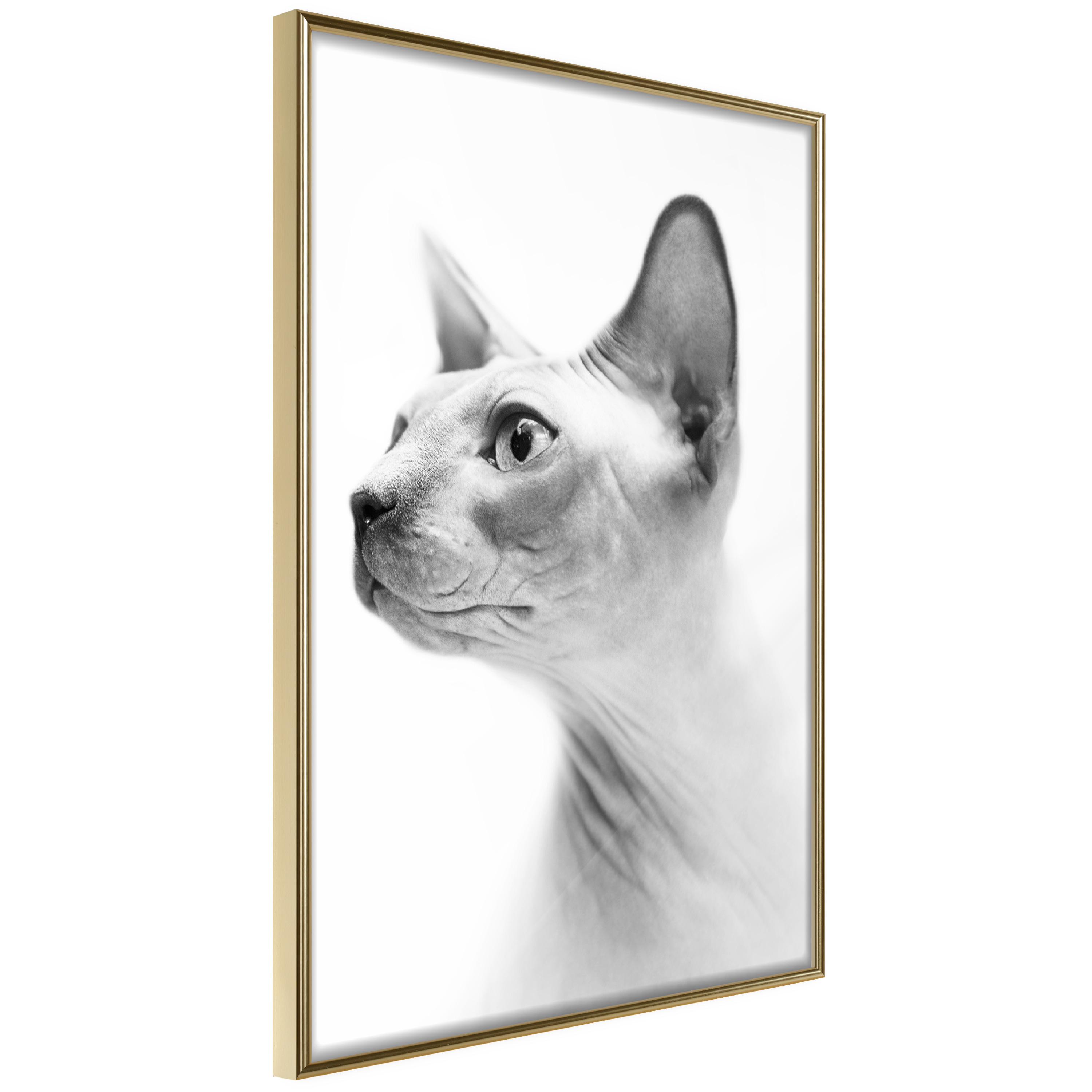 Poster et affiche - Sphinx - 30x45 | Leroy Merlin