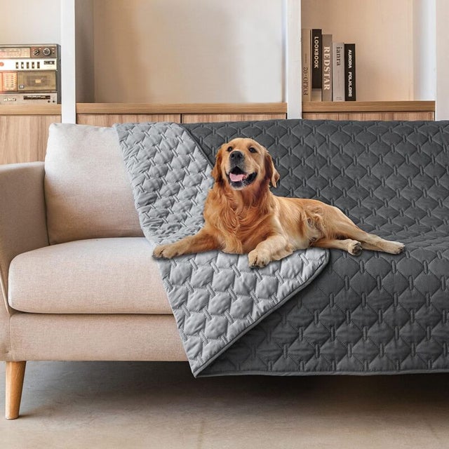 Protection canape au meilleur prix | Leroy Merlin