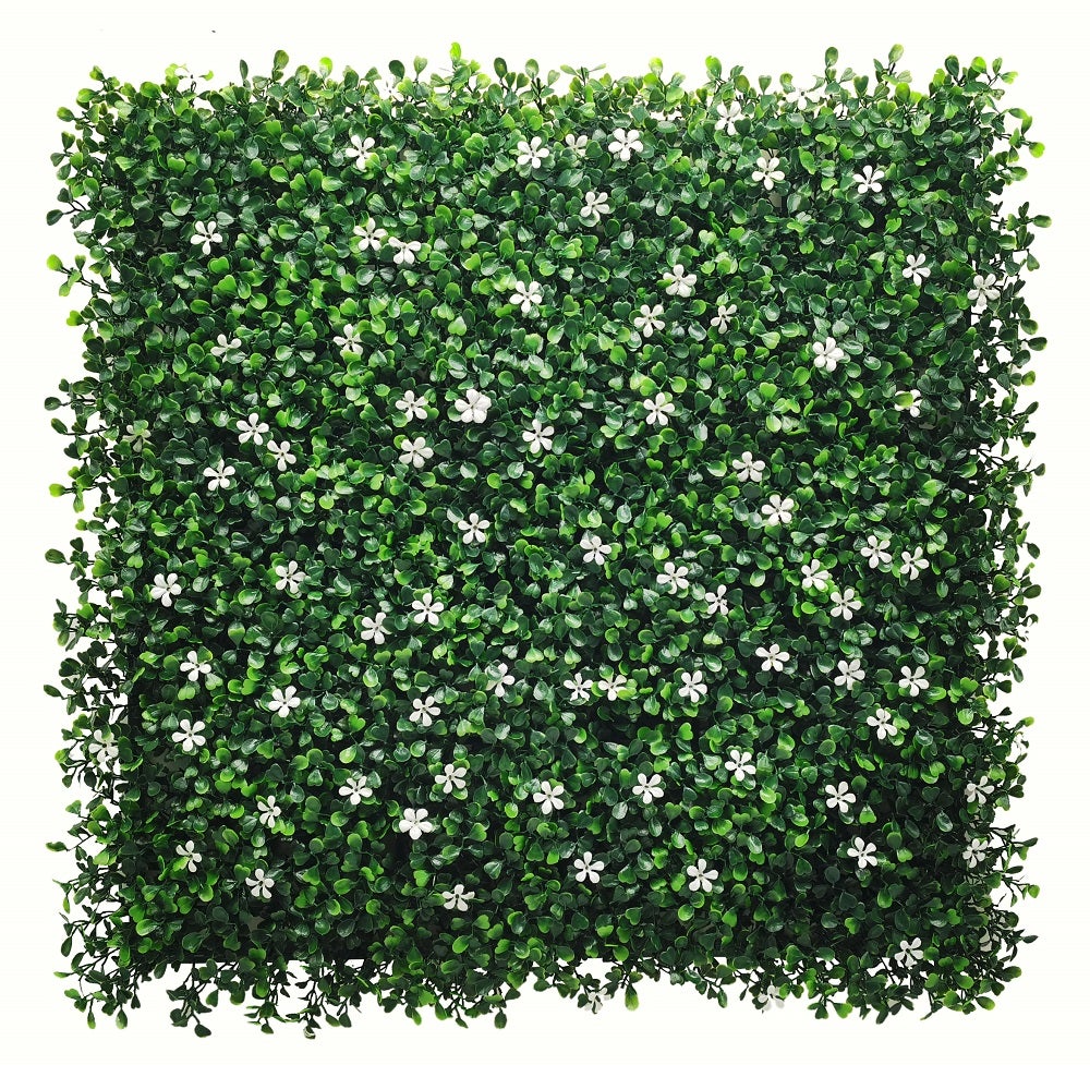 Mur vegetal, brise vue CEVENNES 50cm/50cm | Leroy Merlin