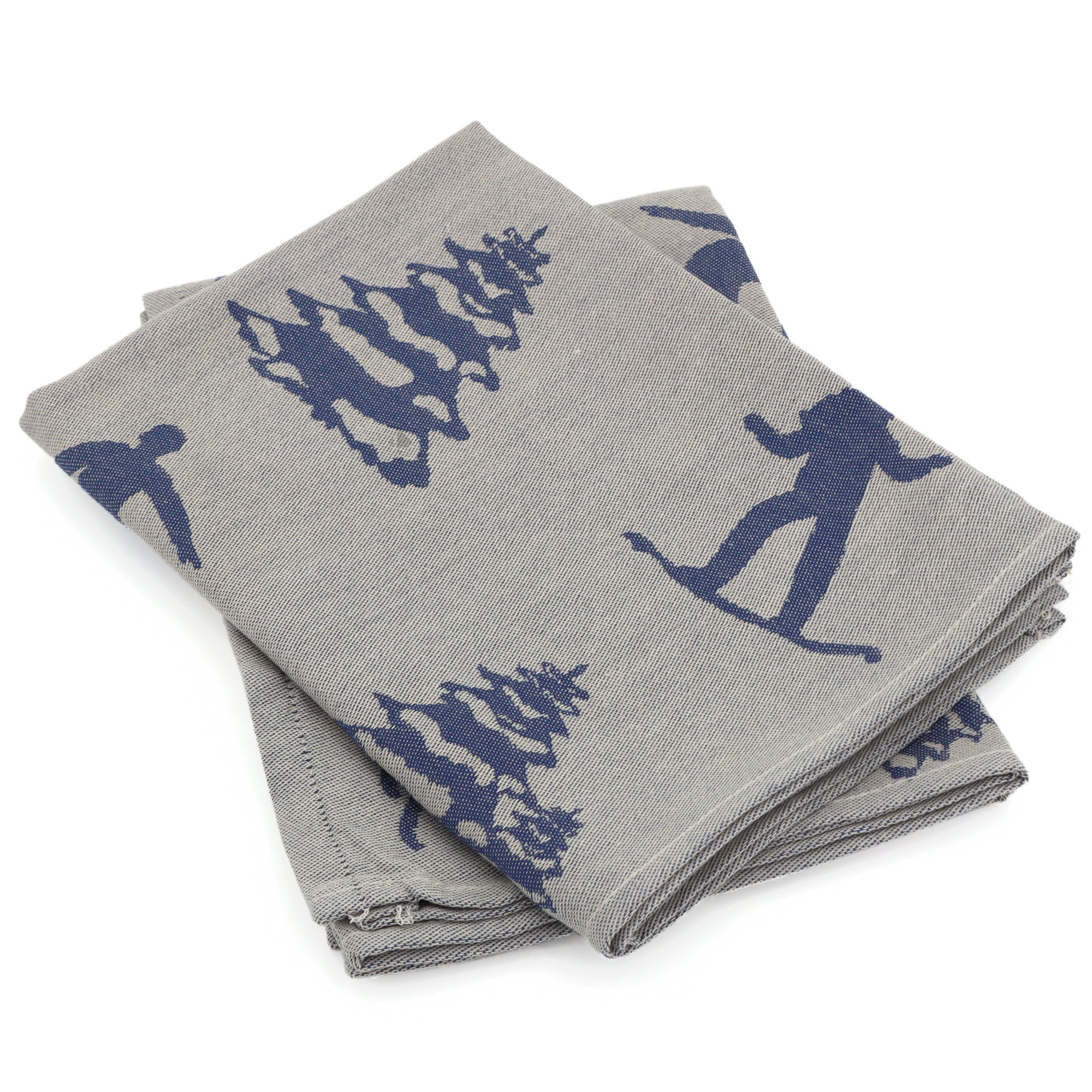 Lot de 2 torchons de cuisine toile 50x70 cm coton SKI bleu | Leroy Merlin