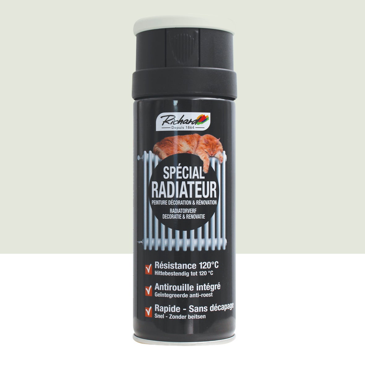 Bombe de Peinture Spécial Radiateur 400 ml RICHARD RAL 9002 Blanc Gris ...
