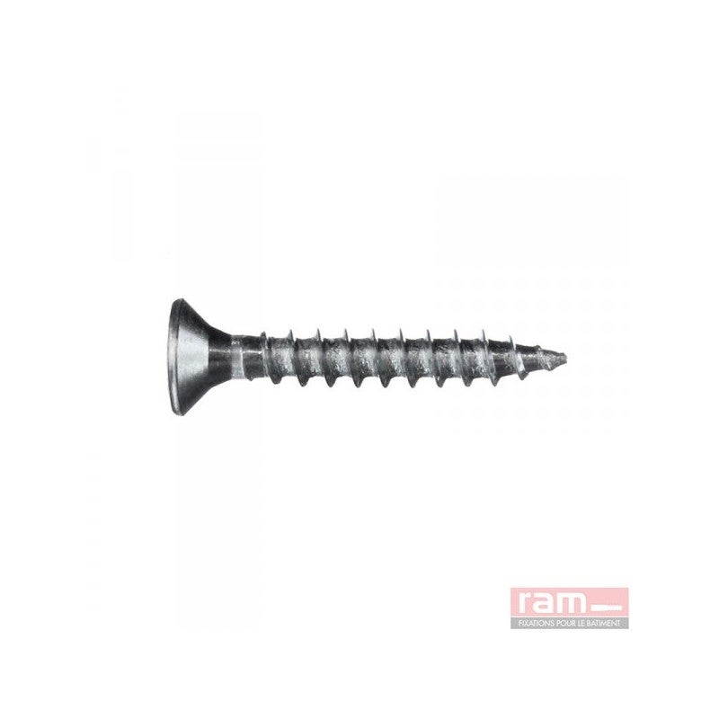 Ram 22451 BTE P 100 VIS AGGLO TF POZI 6x | Bricoman