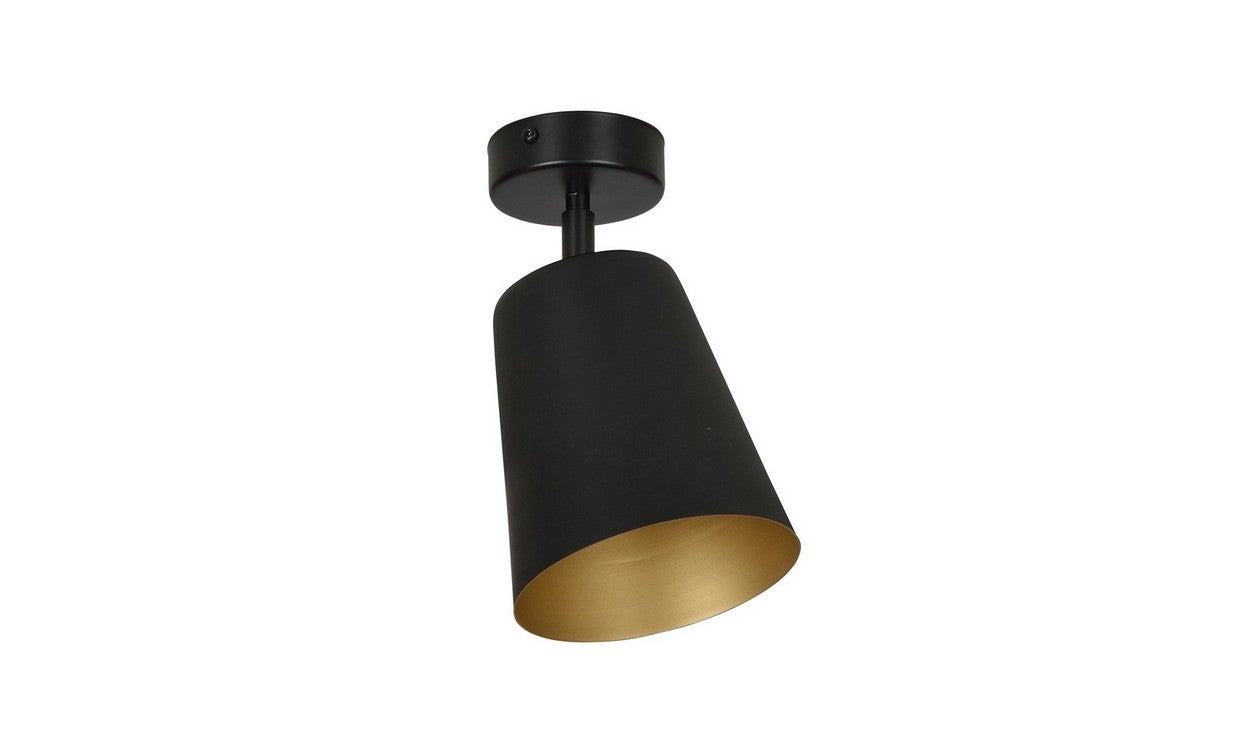 Spot d'Intérieur Prism, Acier peint par poudrage, Noir, Or, EPIKASA ...