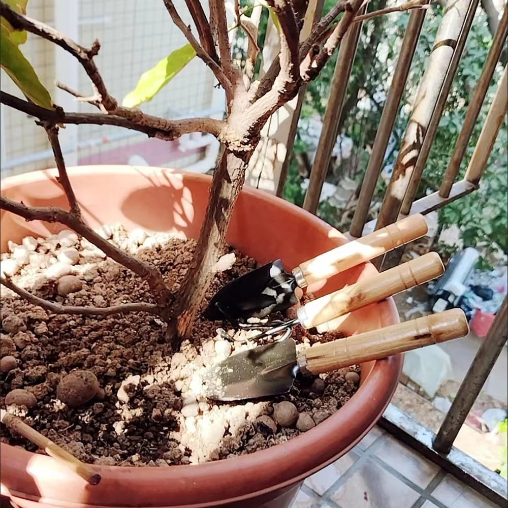 Lot de 3 Outils de Jardinage Mini Petite Pelle Rateau et Bêche Manche ...