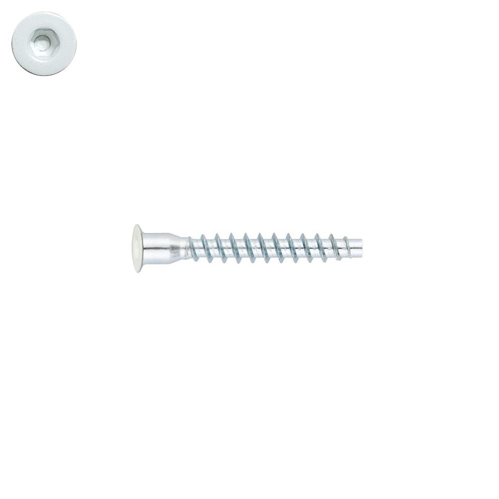 Vis d'assemblage de meuble 7x50 mm blanche ral 9003 par 50 | Leroy Merlin