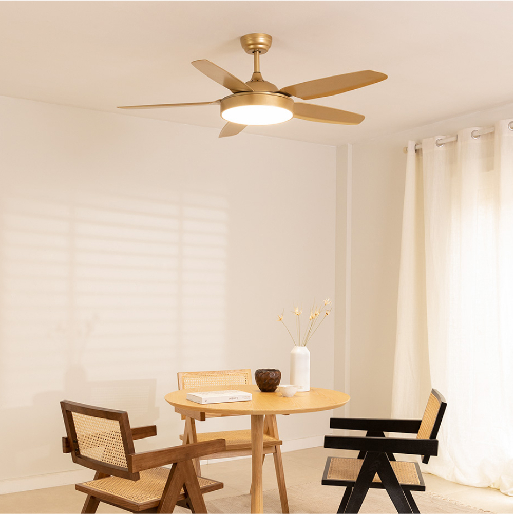 CREATE - WINDLIGHT FLAT DC - Funzione Estate/Inverno - Ventilatore da ...