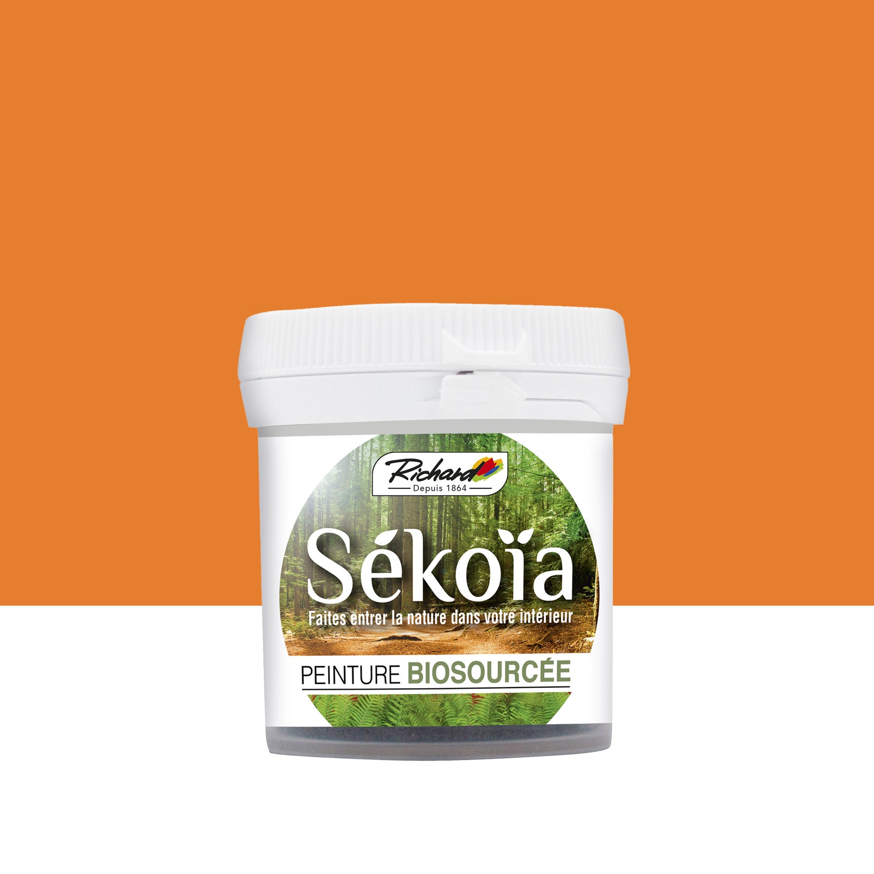 Peinture biosourcée Sékoia Richard orange pop velours 50ml | Bricoman