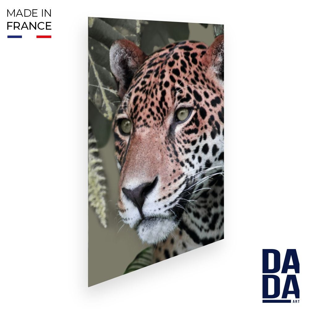 Affiche Charme félin sauvage / 50x70cm / Fabriqué en France / DADA ART ...