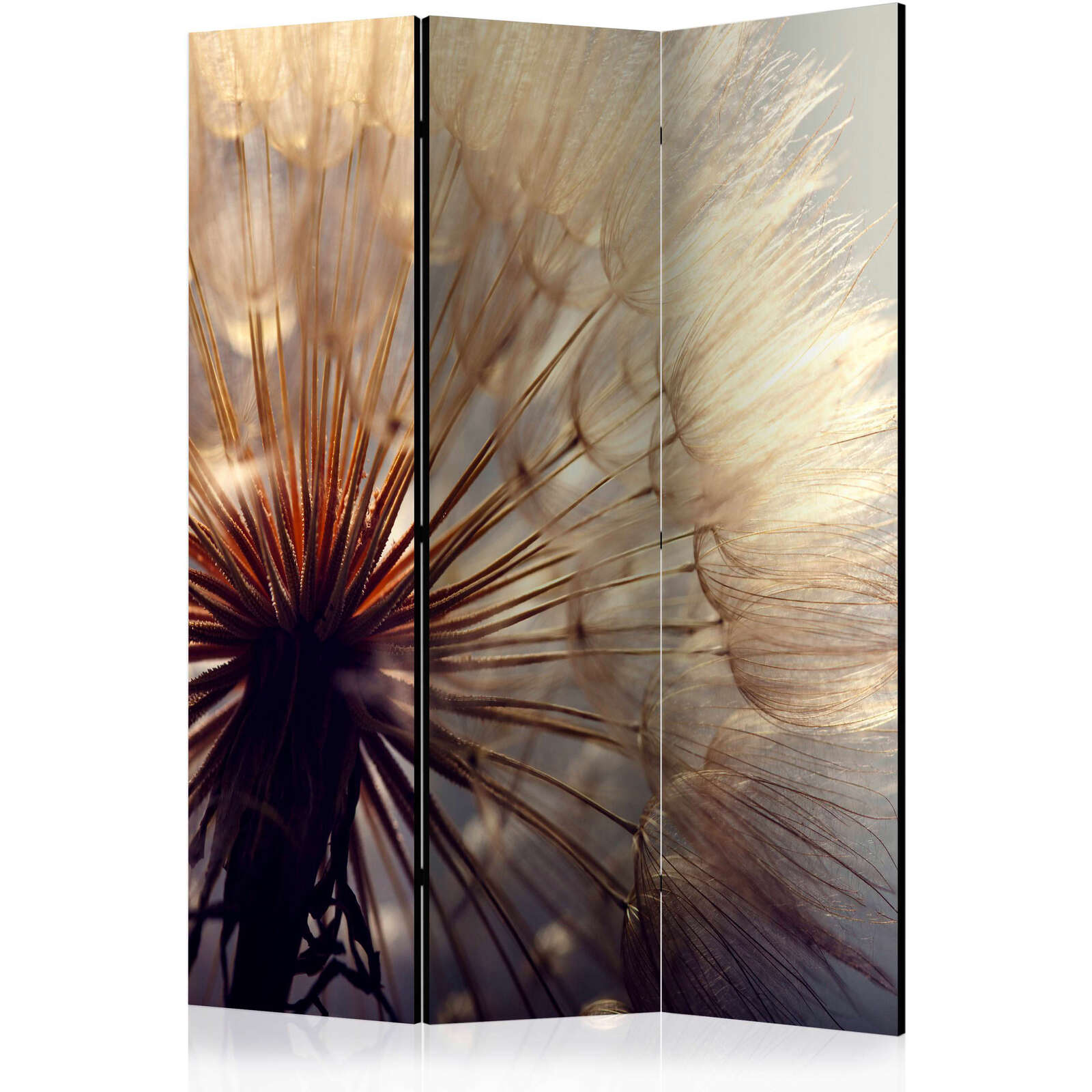 Paravent Design Pissenlit Délicat 3 Panneaux Séparateur 135 x 172 cm ...