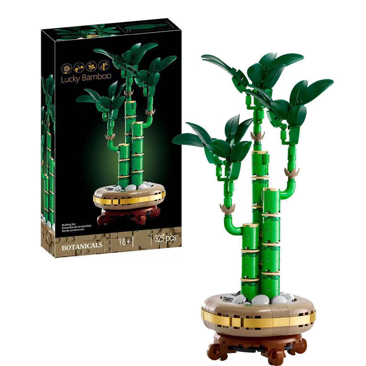 Un cadeau idéal pour hommes et femmes : Bambou porte-bonheur – Plantes ...