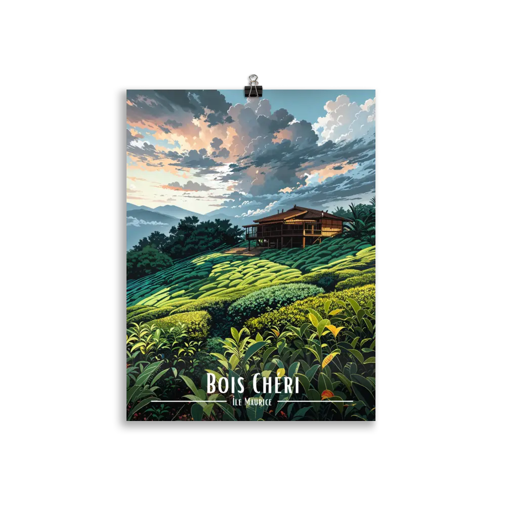 Affiche de Maurice 'Bois Chéri' | Leroy Merlin