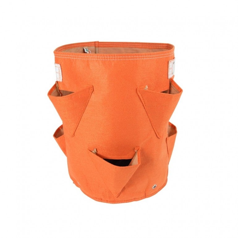 Bloembagz Fraise Pot de Fleurs, Tequila Sunrise, 9 Gallon | Leroy Merlin