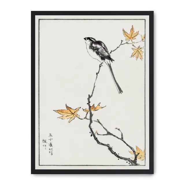 Peinture d'oiseau sur une branche | Leroy Merlin