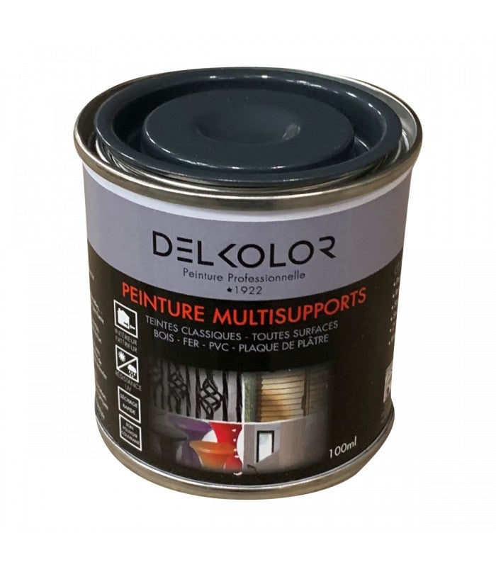 Delkolor Peinture Multisupports Couleurs RAL - 100ml (Brillant - RAL ...