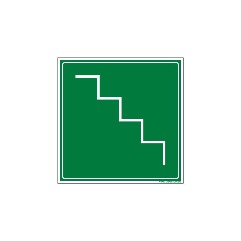 PANNEAU PICTOGRAMME EVACUATION/ESCALIER DE SECOURS (B0010) 250 x 250 mm ...