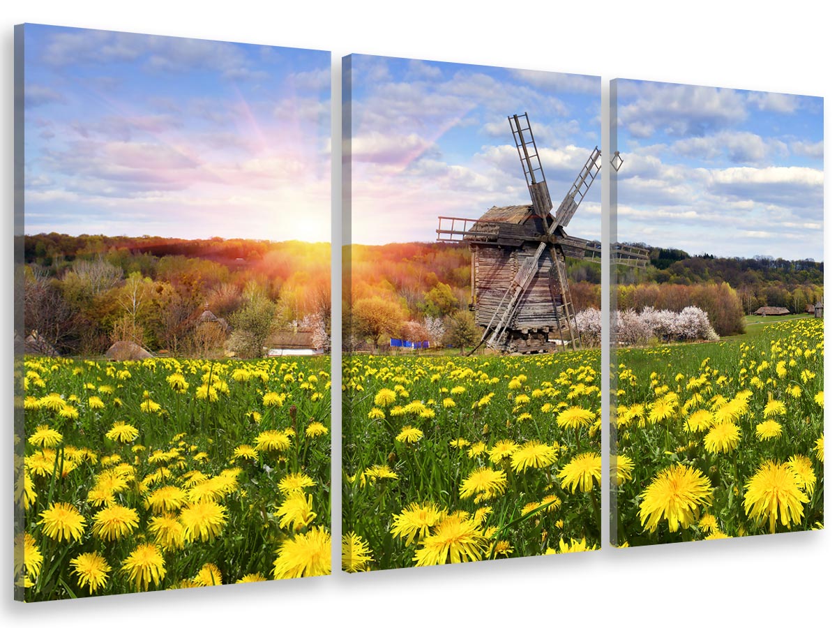 Tableau triptyque paysage moulin à vent ukraine - 90x60 cm | Leroy Merlin