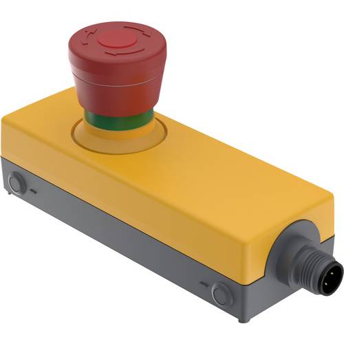 RAFI E-BOX Bouton-poussoir 35 V 0.1 A 2 NF (R) 1 pc(s) | Leroy Merlin